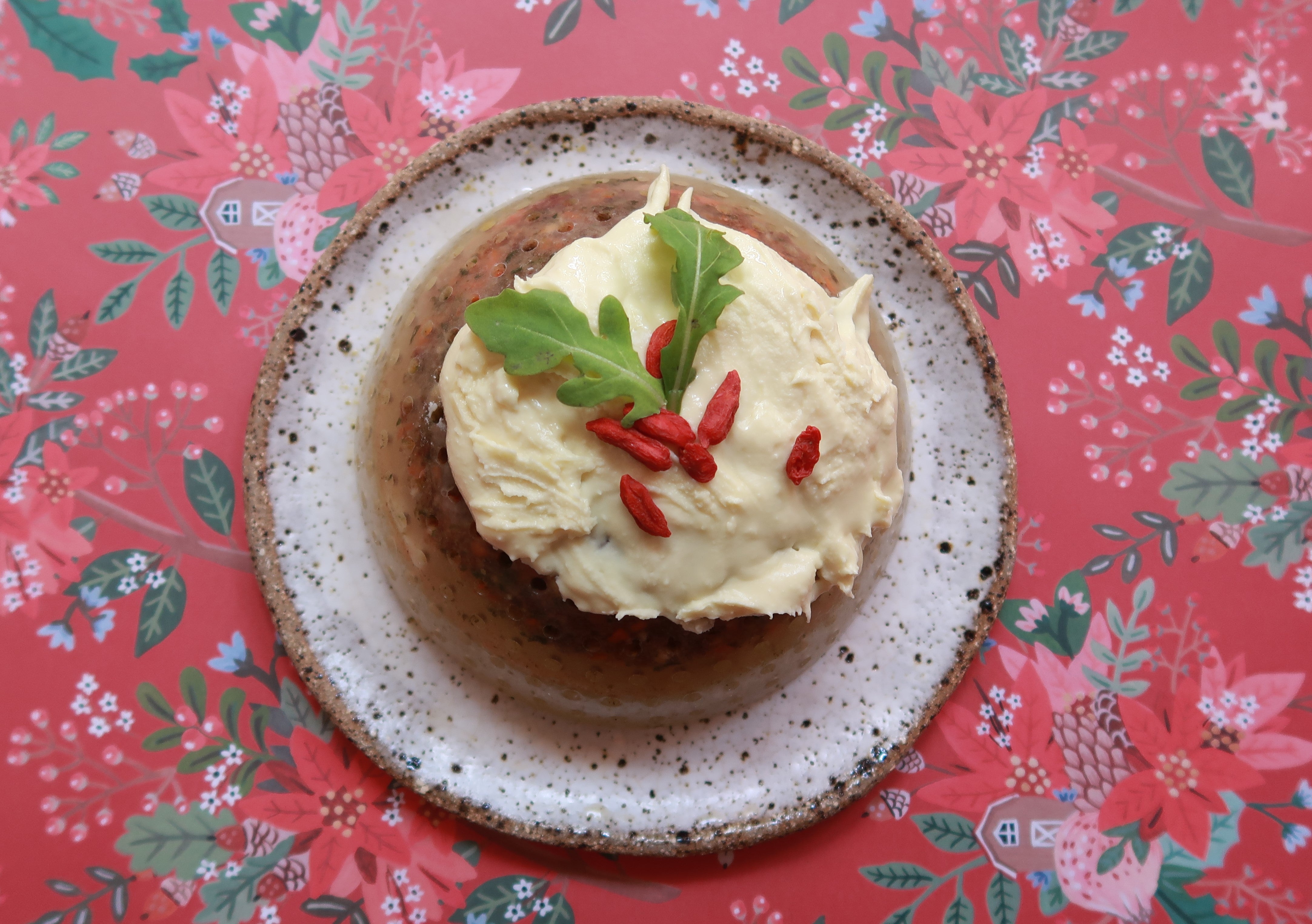 Christmas pudding recipe for dogs – Doggy Grub