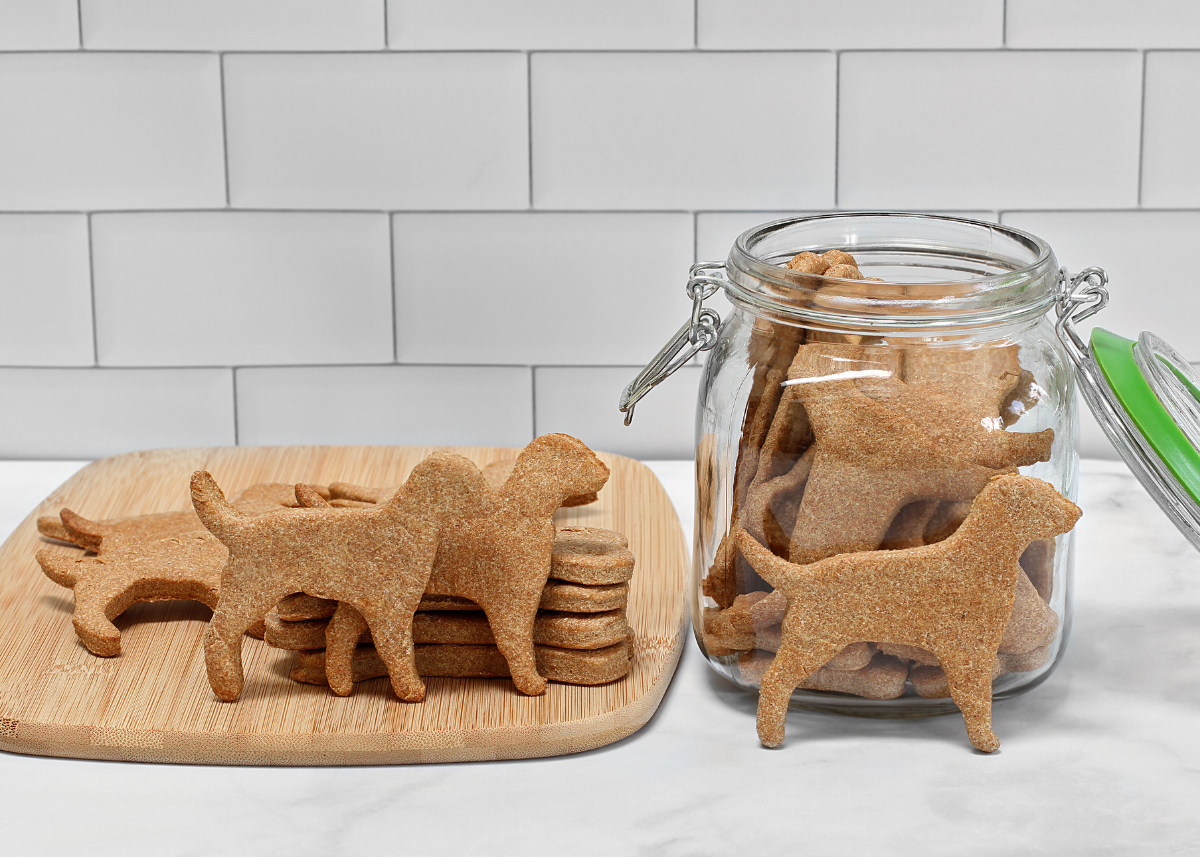 Gingerbread Dog Biscuits – Doggy Grub