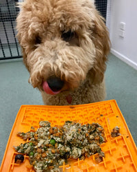 Doggy Grub | Slow-Cooked, Human-Grade Dog Food