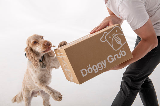 Doggy Grub | Slow-Cooked, Human-Grade Dog Food